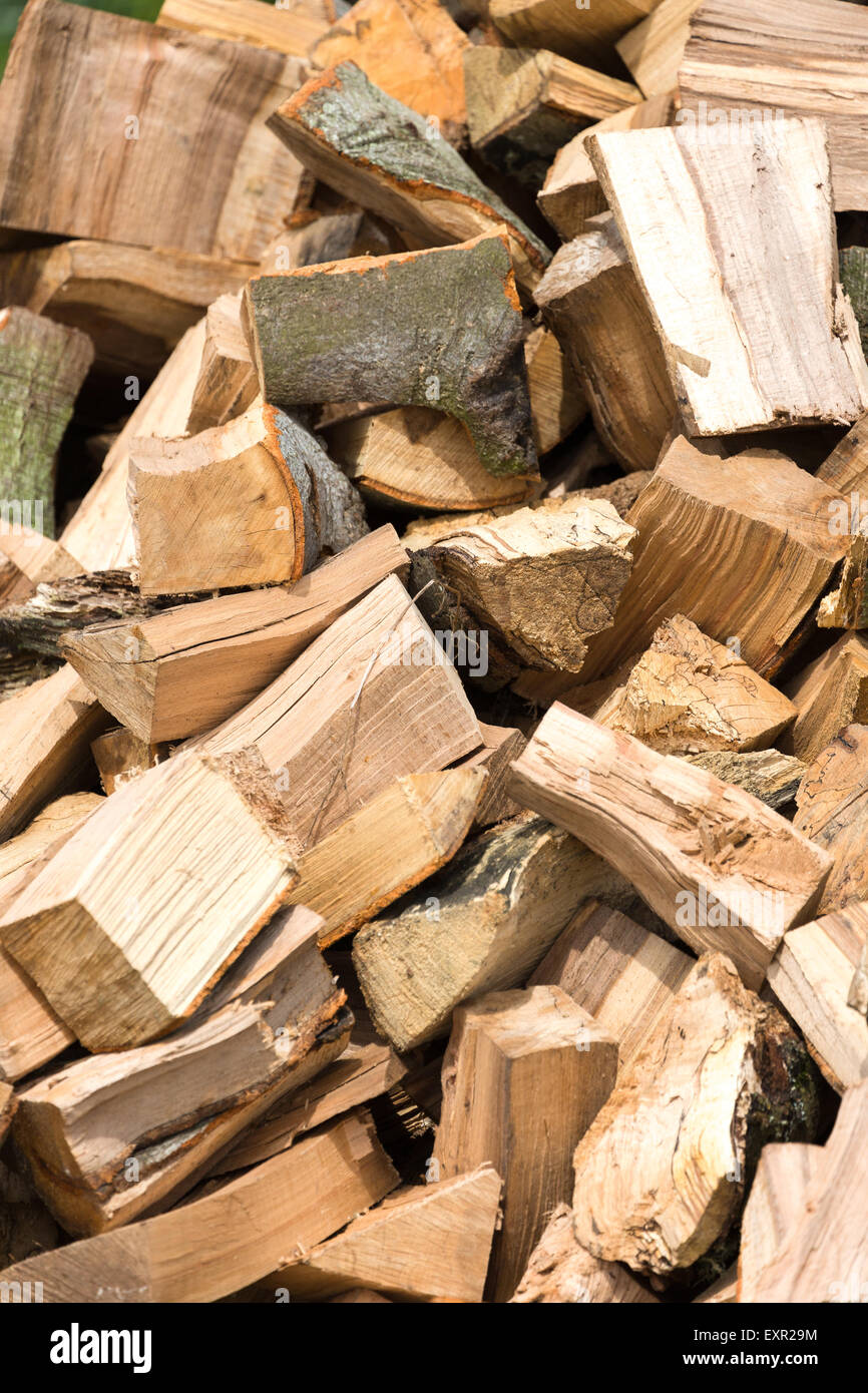 English woodlands timber hi-res stock photography and images - Alamy