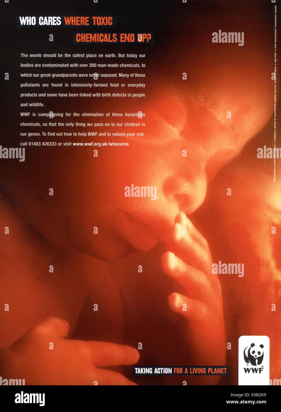 2000s UK World Wildlife Fund Magazine Advert Stock Photo - Alamy
