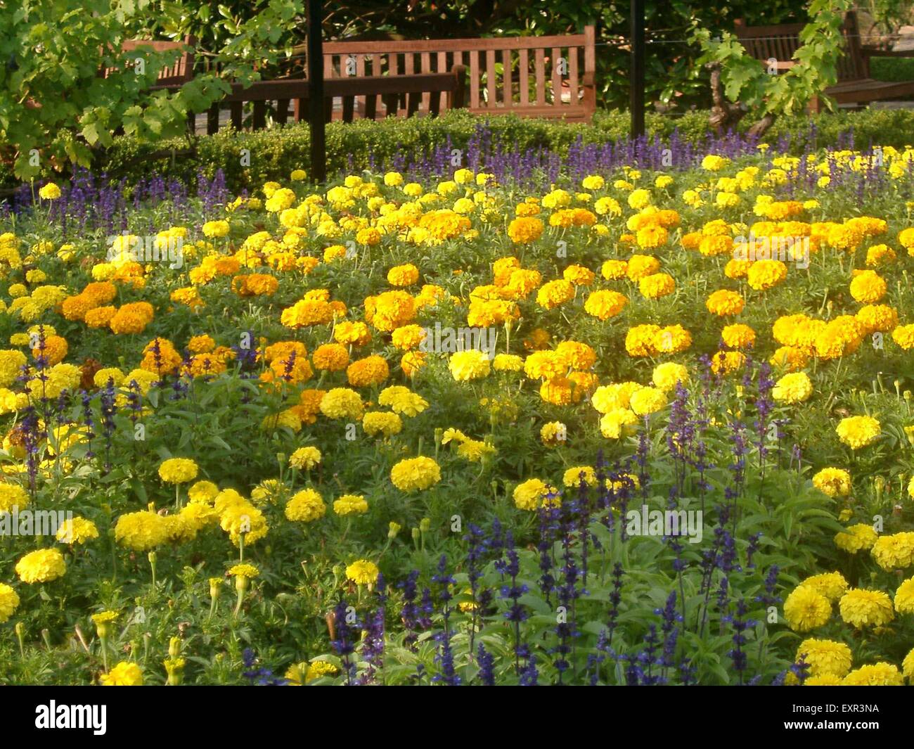 London 2002 hi-res stock photography and images - Alamy