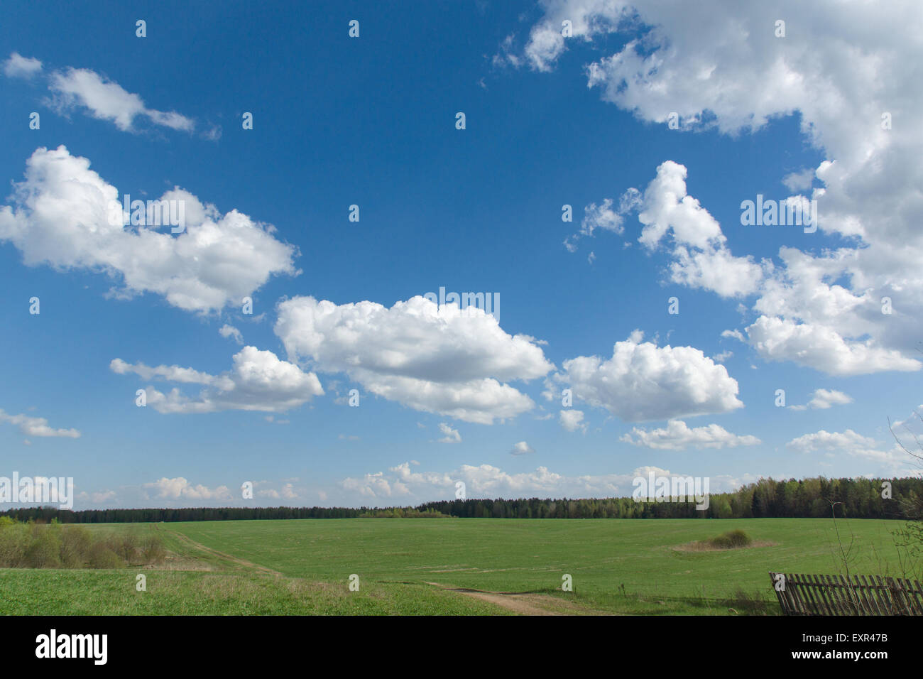 beautiful rural landscape with green vegetation and the bright sky ...