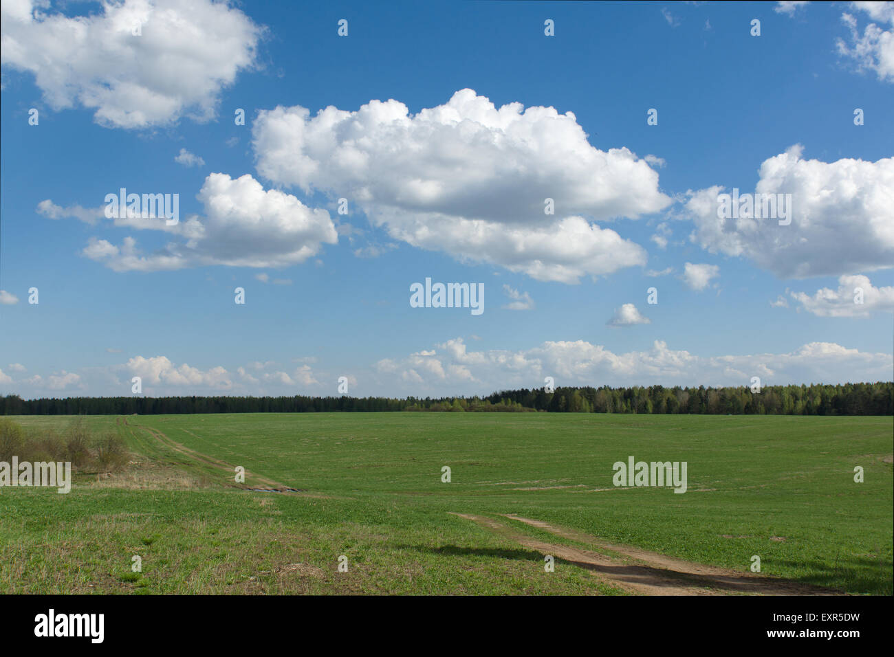 beautiful rural landscape with green vegetation and the bright sky ...