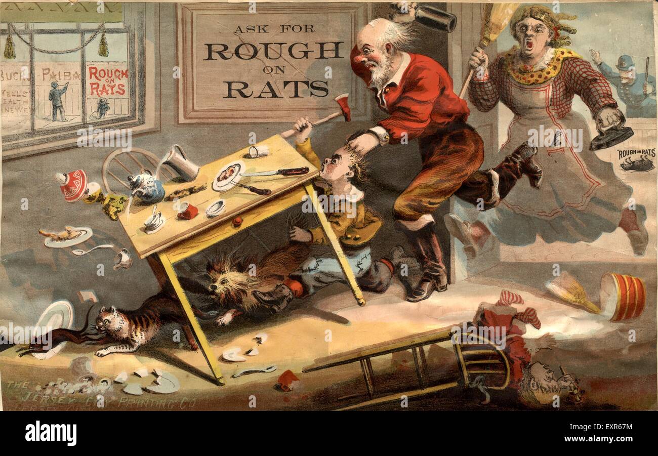 Mice Catcher High Resolution Stock Photography and Images - Alamy