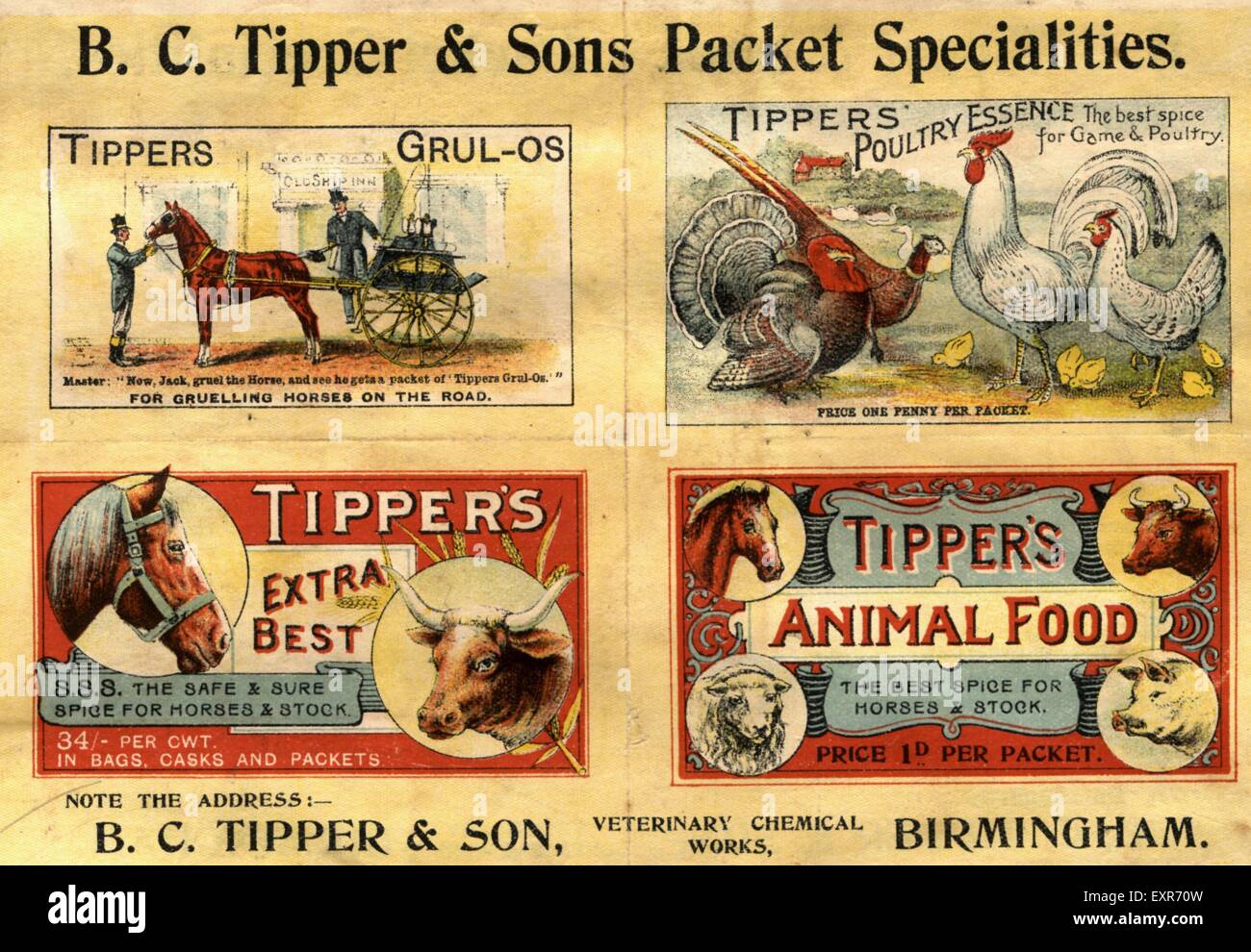 Pet magazine hi-res stock photography and images - Alamy