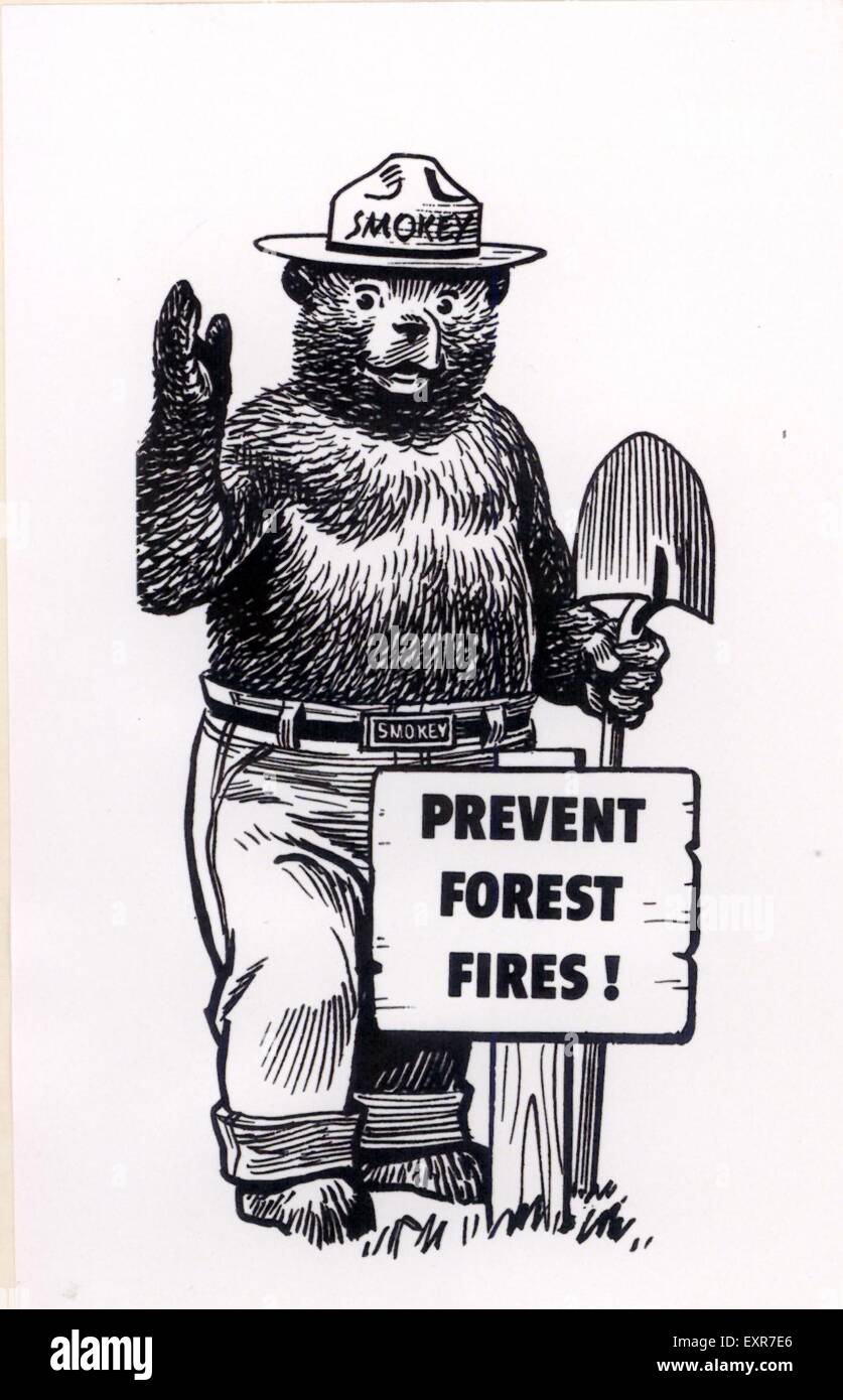 1930s USA Prevent Forest Fires Magazine Advert Stock Photo - Alamy