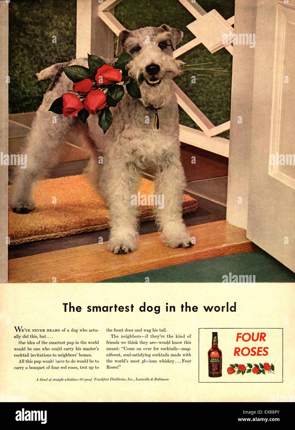 1950s USA Four Roses Magazine Advert Stock Photo - Alamy