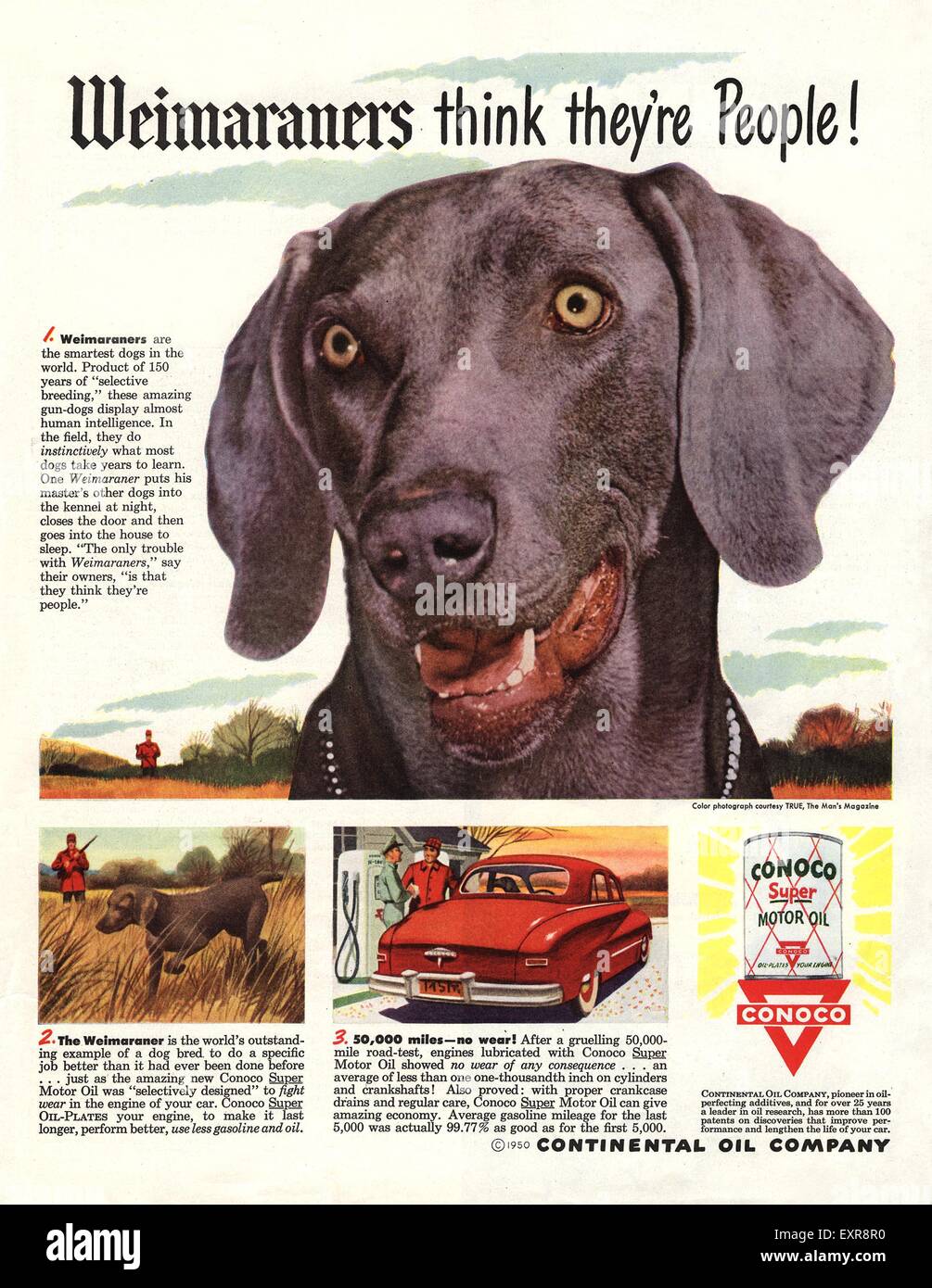 1950s USA Conoco Magazine Advert Stock Photo - Alamy