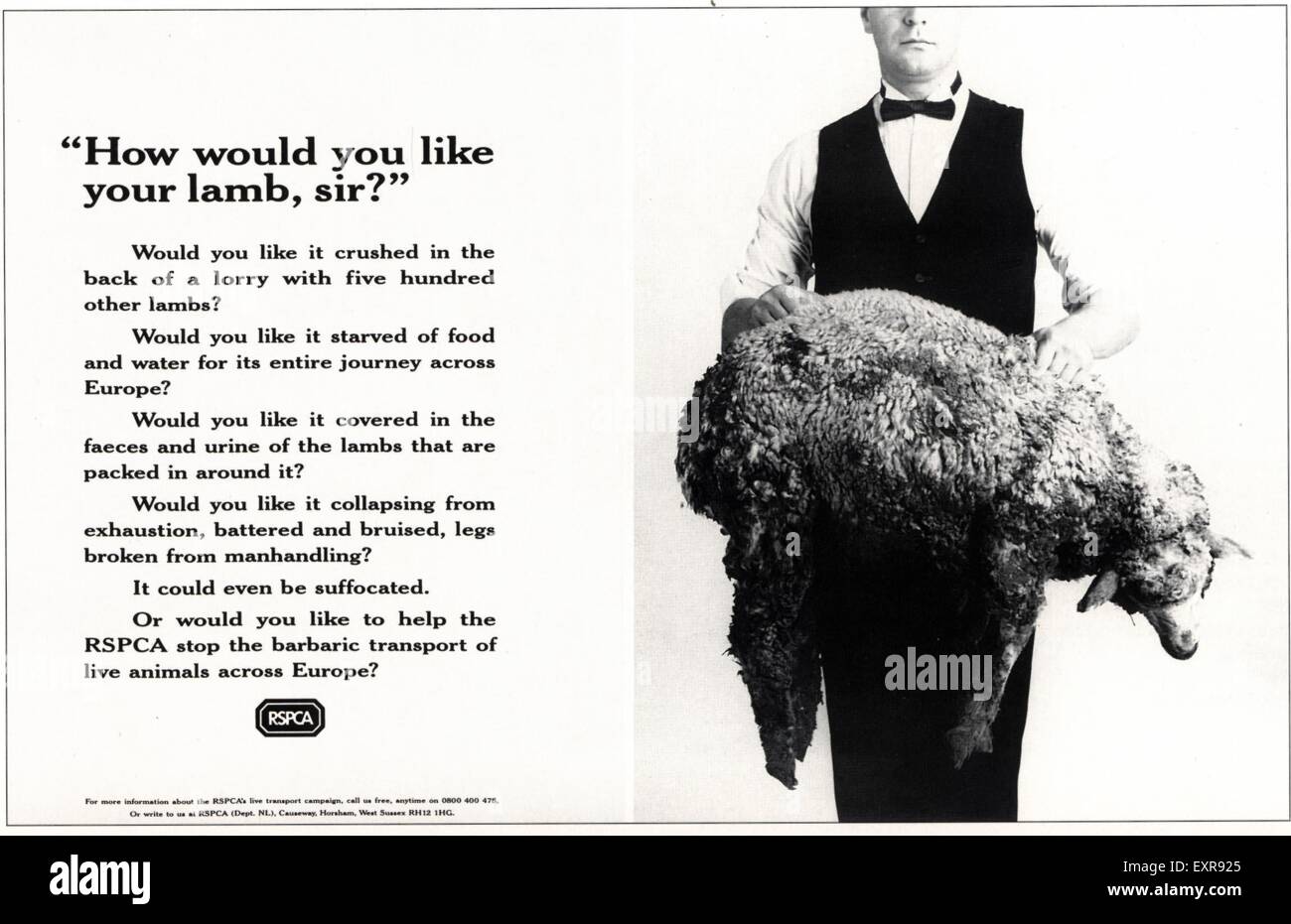 1980s UK RSPCA Magazine Advert Stock Photo - Alamy