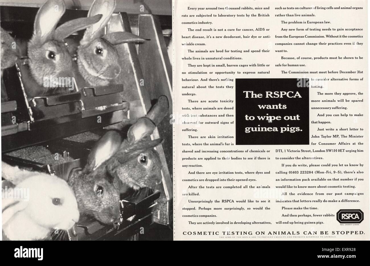 1990s UK RSPCA Magazine Advert Stock Photo - Alamy