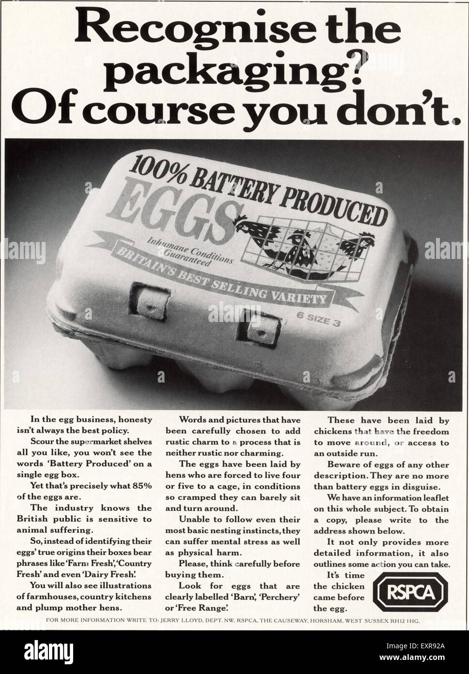 1990s UK RSPCA Magazine Advert Stock Photo - Alamy