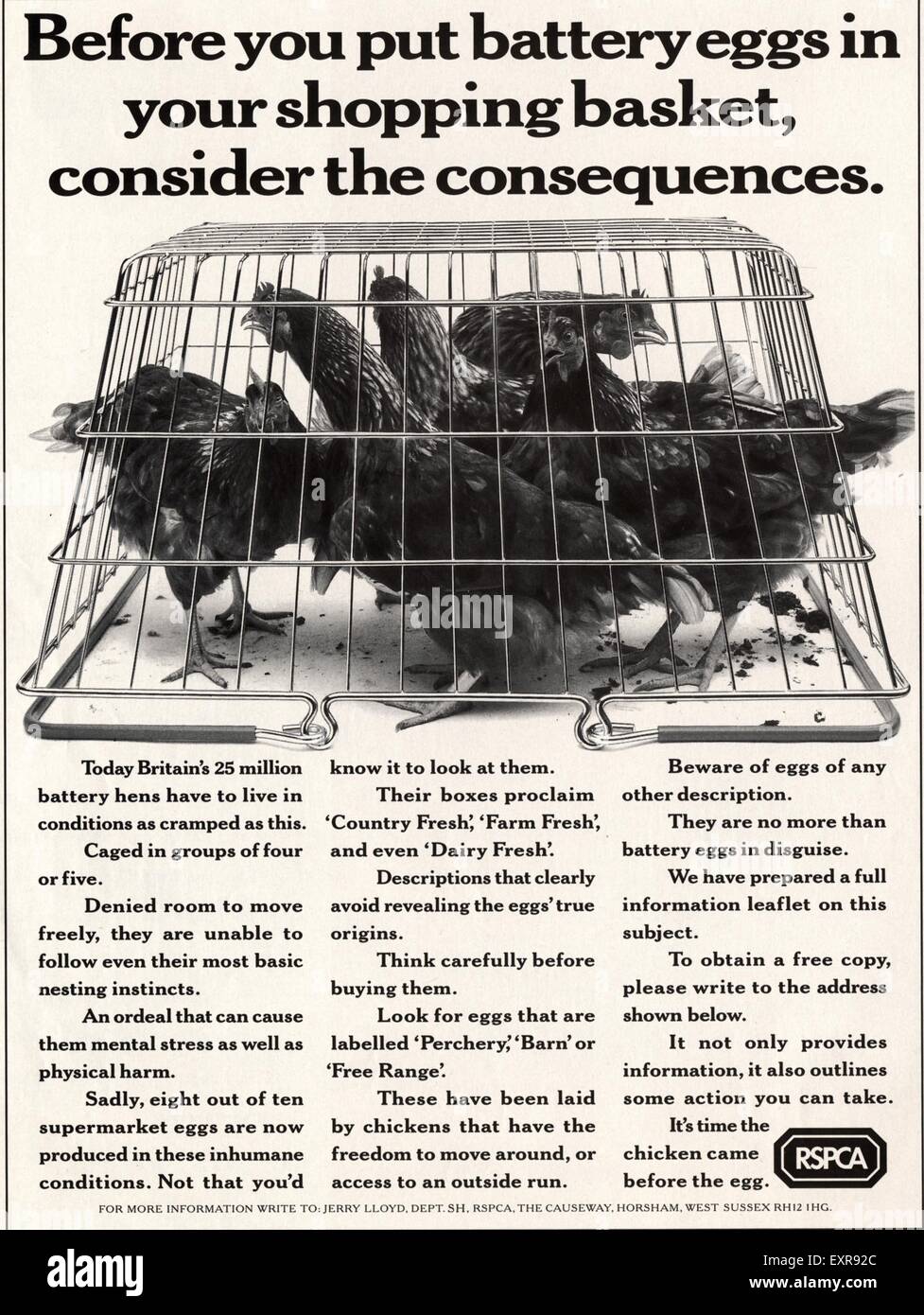 1990s UK RSPCA Magazine Advert Stock Photo - Alamy