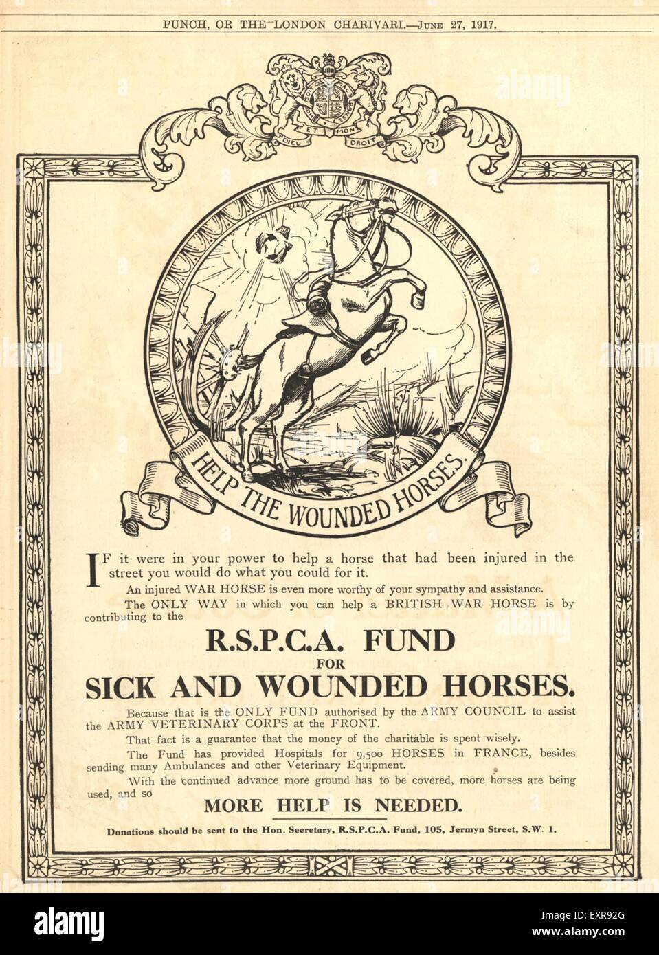 1910s UK RSPCA Magazine Advert Stock Photo - Alamy