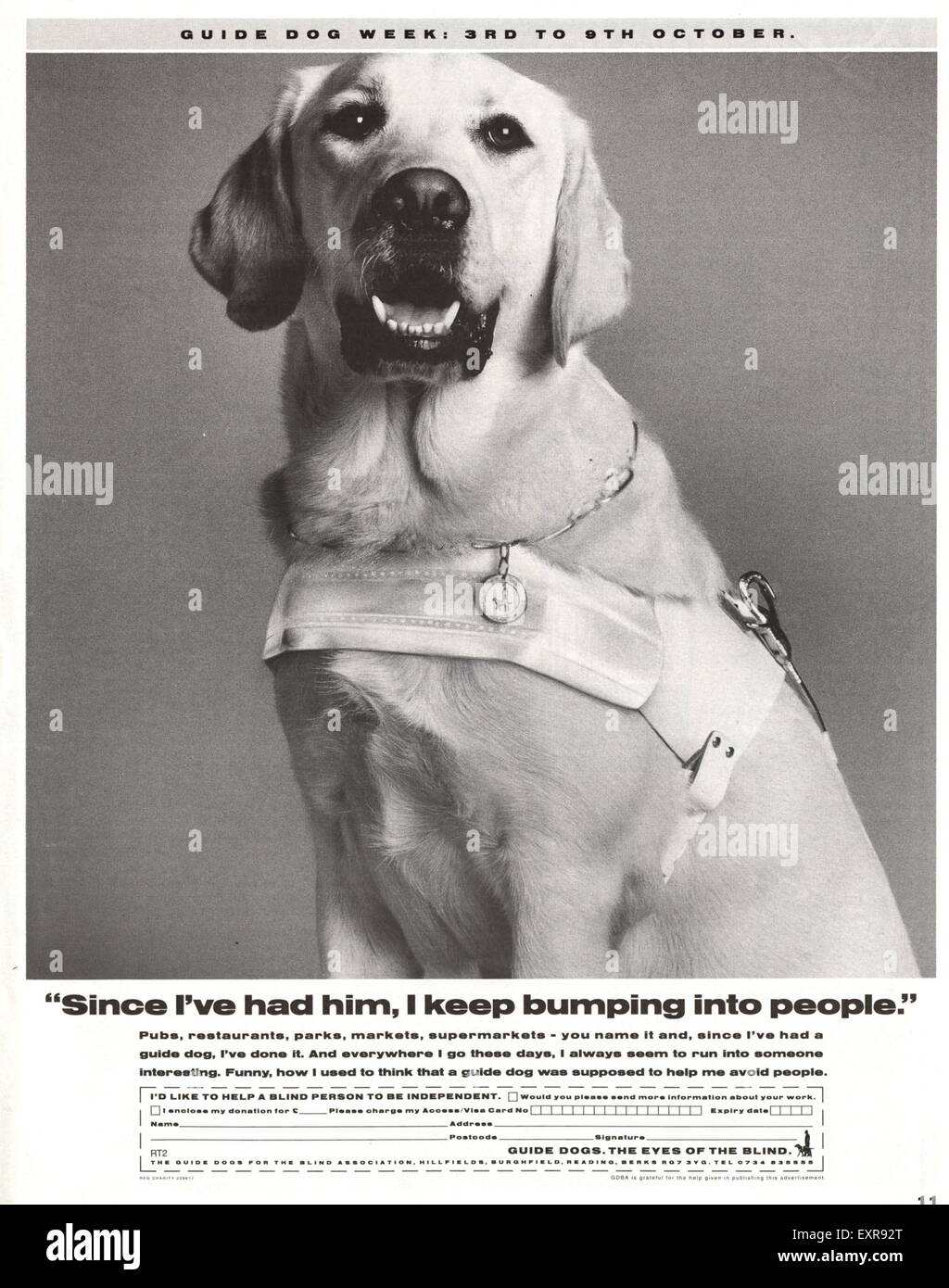 1980s UK Guide Dogs Magazine Advert Stock Photo - Alamy