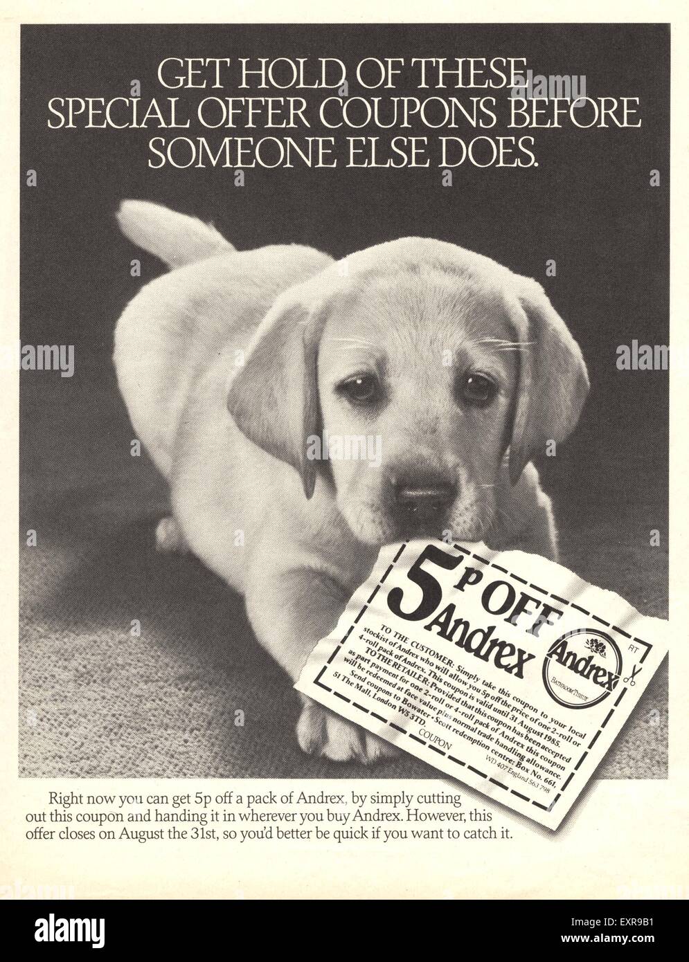 1980s UK Andrex Magazine Advert Stock Photo - Alamy