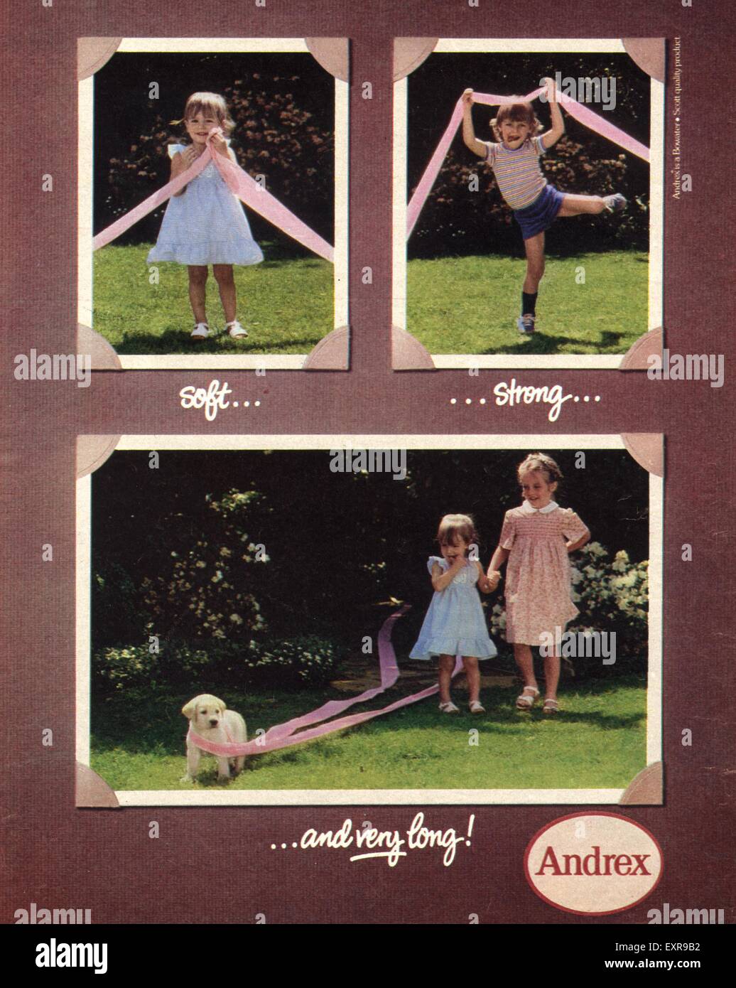 1980s UK Andrex Magazine Advert Stock Photo - Alamy