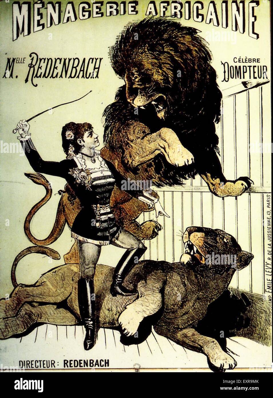 Circus tamer lions hi-res stock photography and images - Alamy