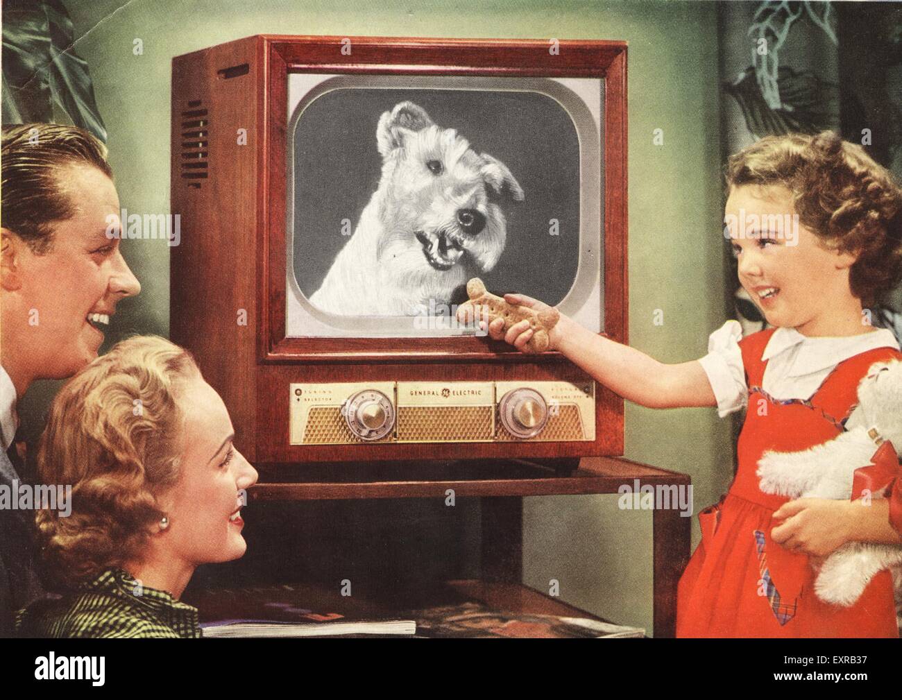 1950s USA The Dog On The Television Magazine Advert (detail Stock Photo ...
