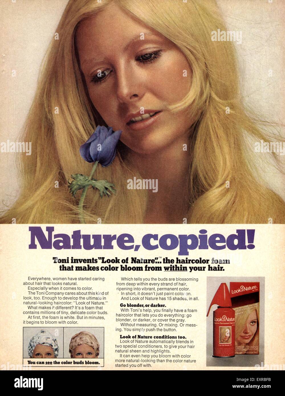 Toni Lamb's Instagram, Twitter & Facebook on IDCrawl