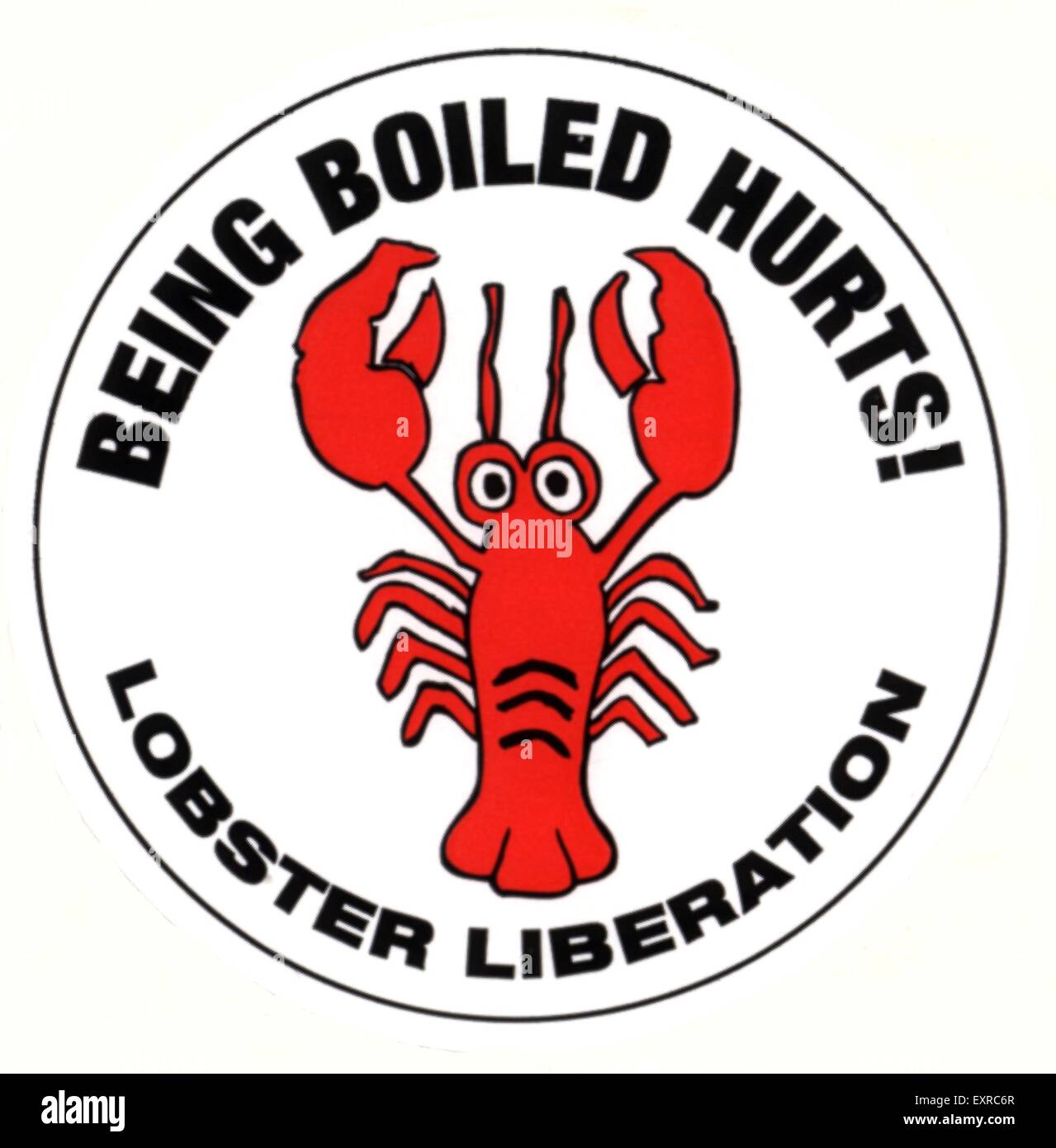 @peta Cut Out Stock Images & Pictures - Alamy