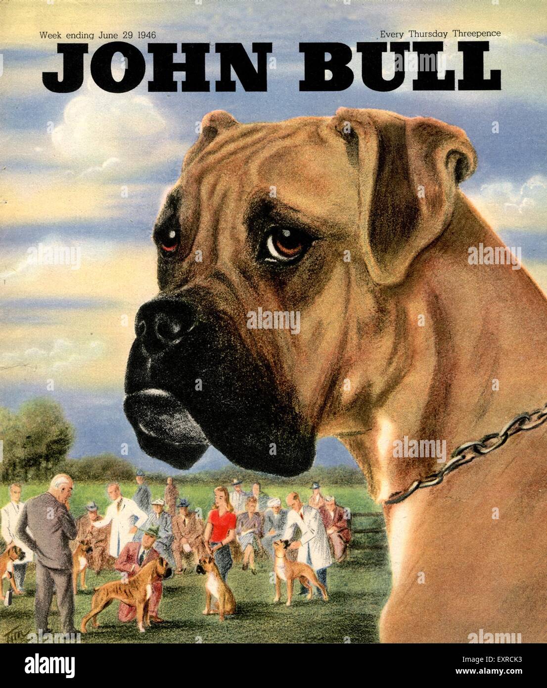 1940s UK John Bull Magazine Cover Stock Photo - Alamy