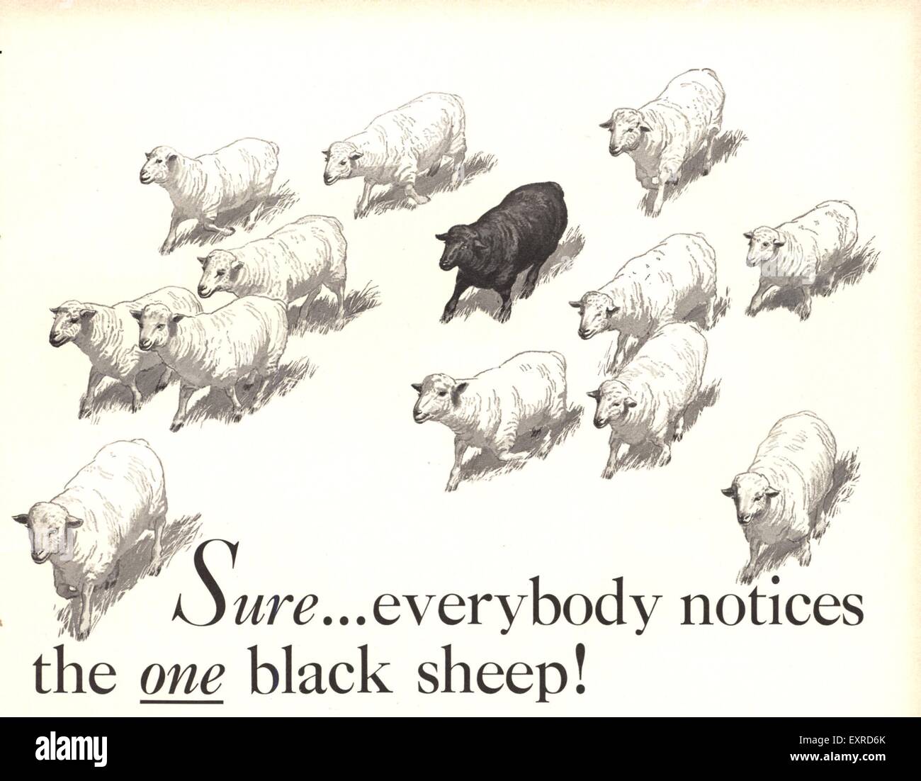 Black Sheep Of The Family Ecards