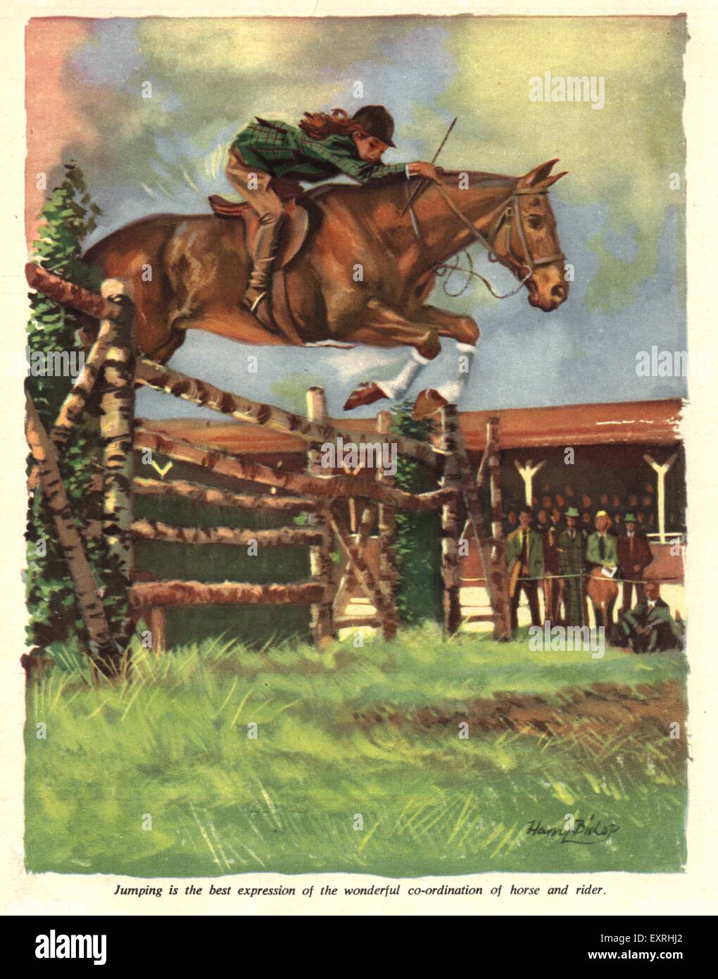 1950s UK Show Jumping Magazine Plate Stock Photo - Alamy