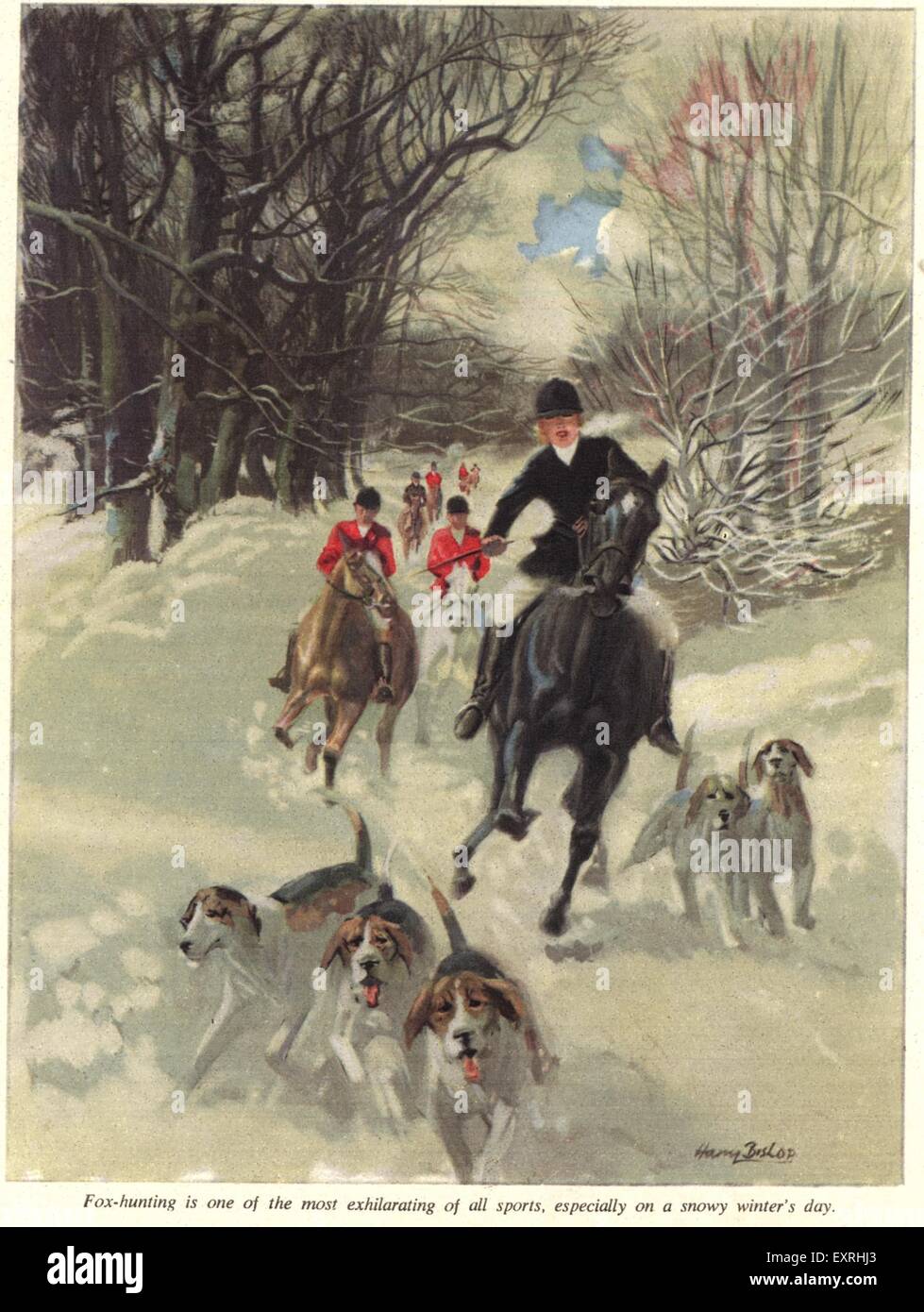1950s hunting hi-res stock photography and images - Alamy