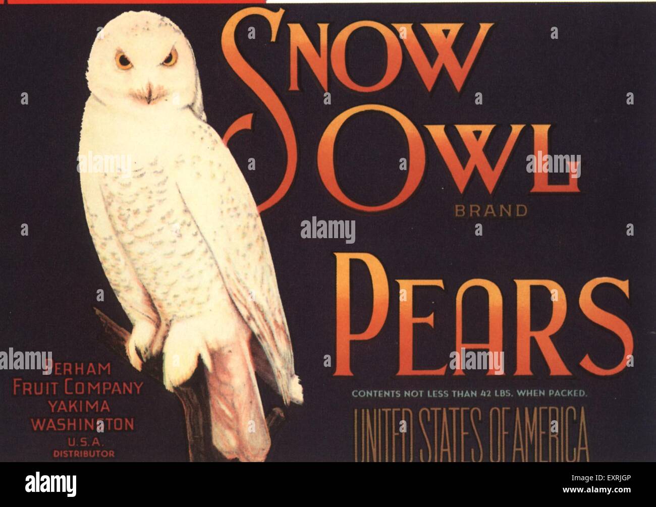 1930s USA Snow Owl Pears Label Stock Photo - Alamy