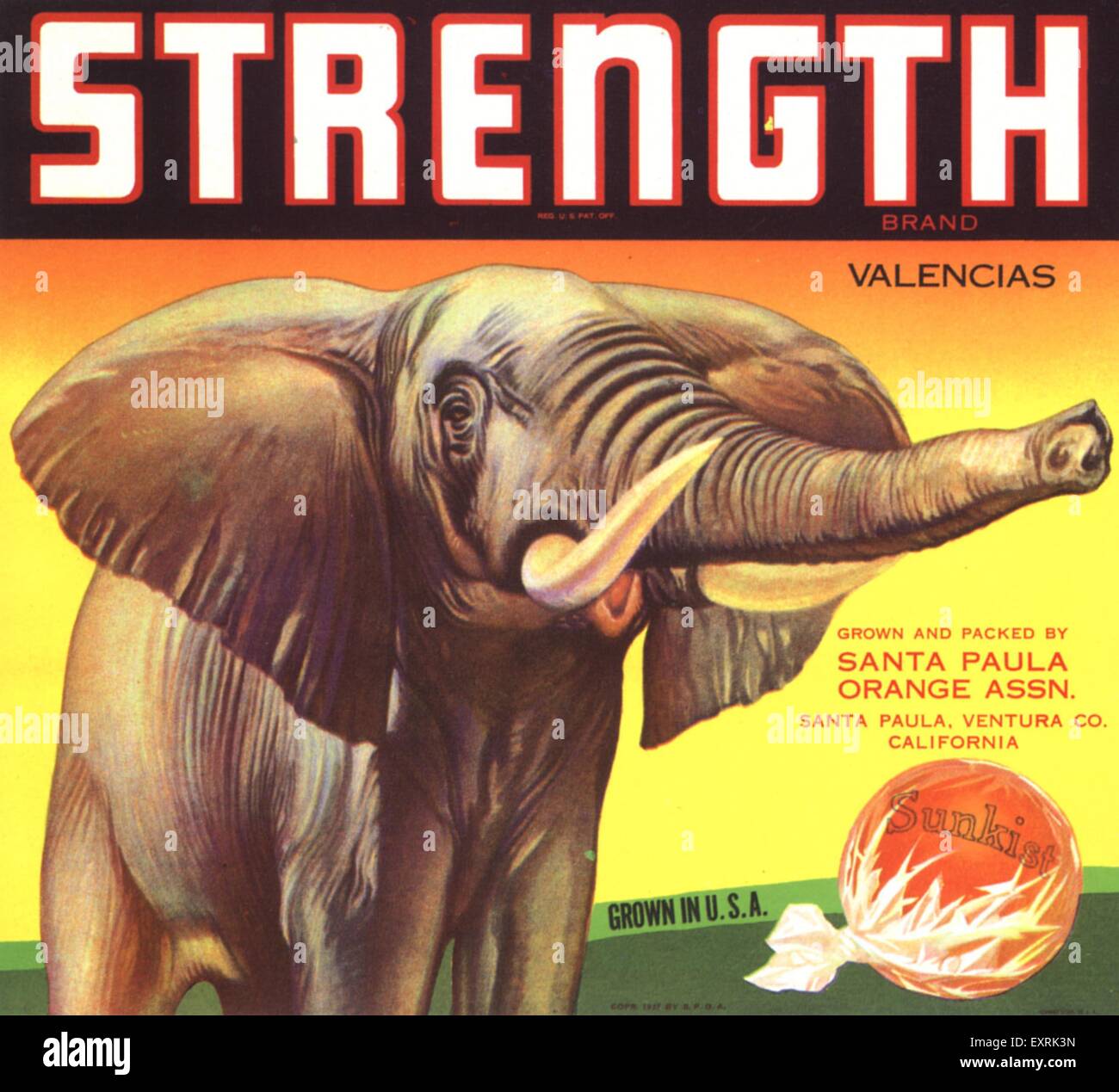 1930s USA Strength Brand Magazine Advert Stock Photo - Alamy