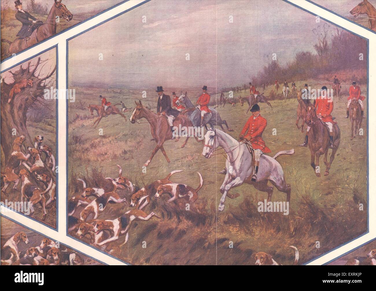 Fox hunting with horses hi-res stock photography and images - Alamy