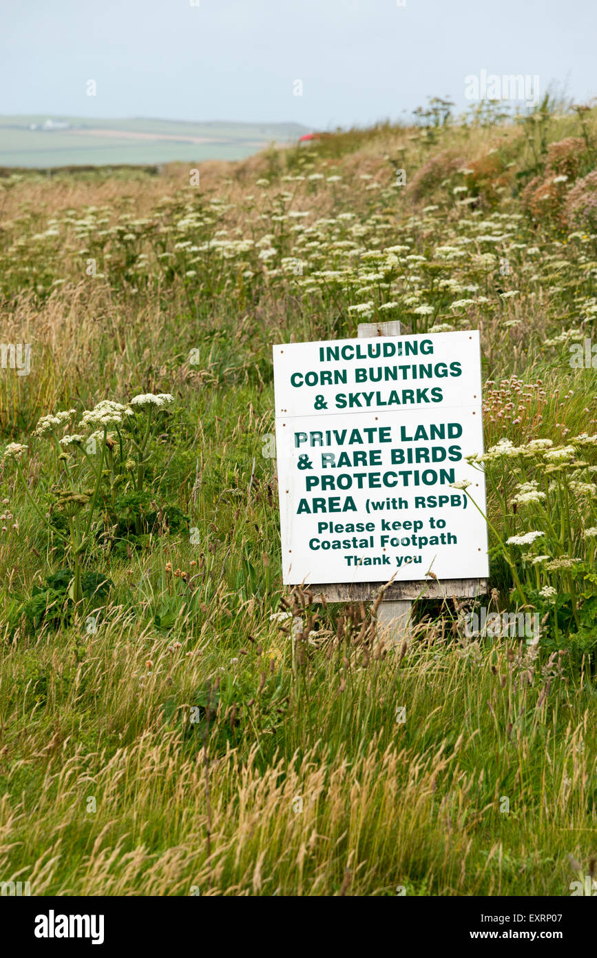 Rare birds hi-res stock photography and images - Alamy