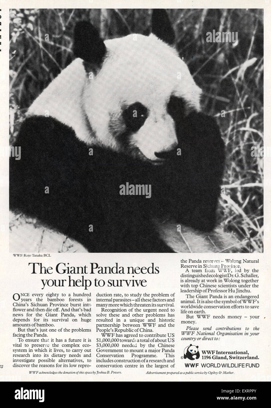 1980s USA World Wildlife Fund Magazine Advert Stock Photo - Alamy