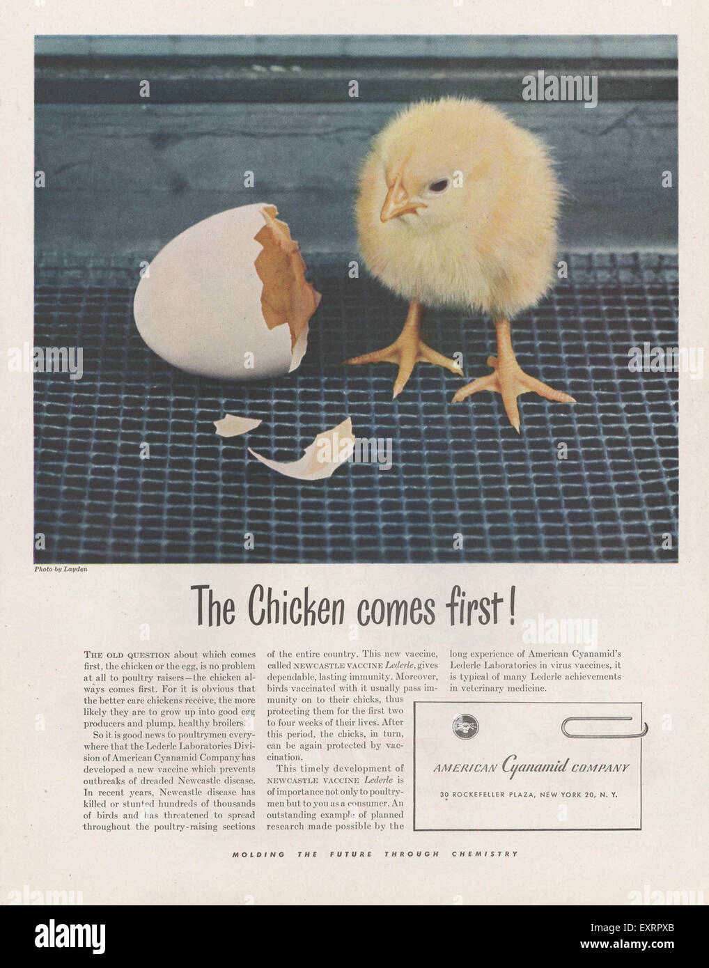 Cyanamid hi-res stock photography and images - Alamy