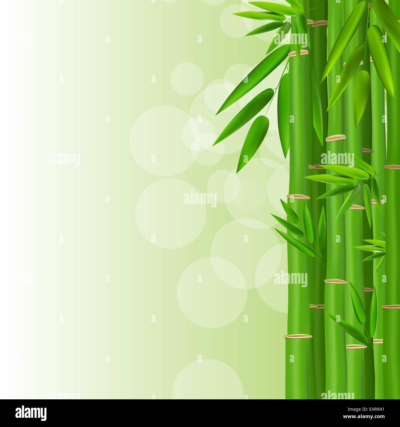 Colorful Stems and Bamboo Leaves Background. Vector Illustration Stock ...