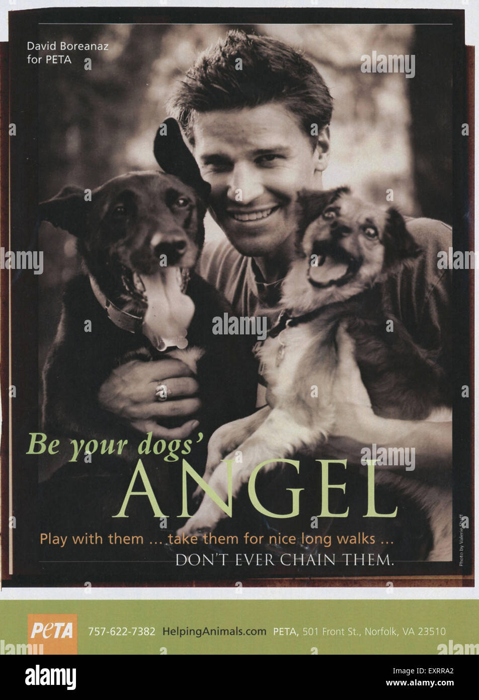 2000s usa peta magazine advert hi-res stock photography and images - Alamy