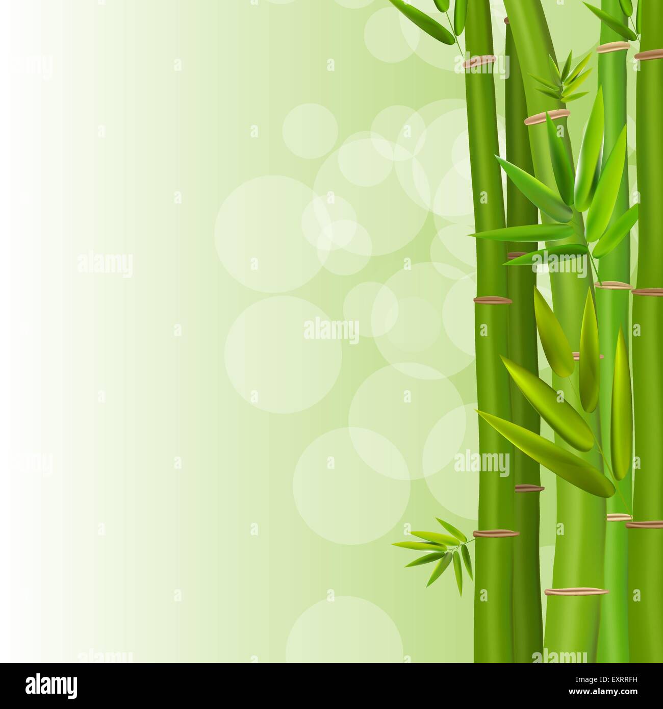 Colorful Stems and Bamboo Leaves Background. Vector Illustration Stock ...