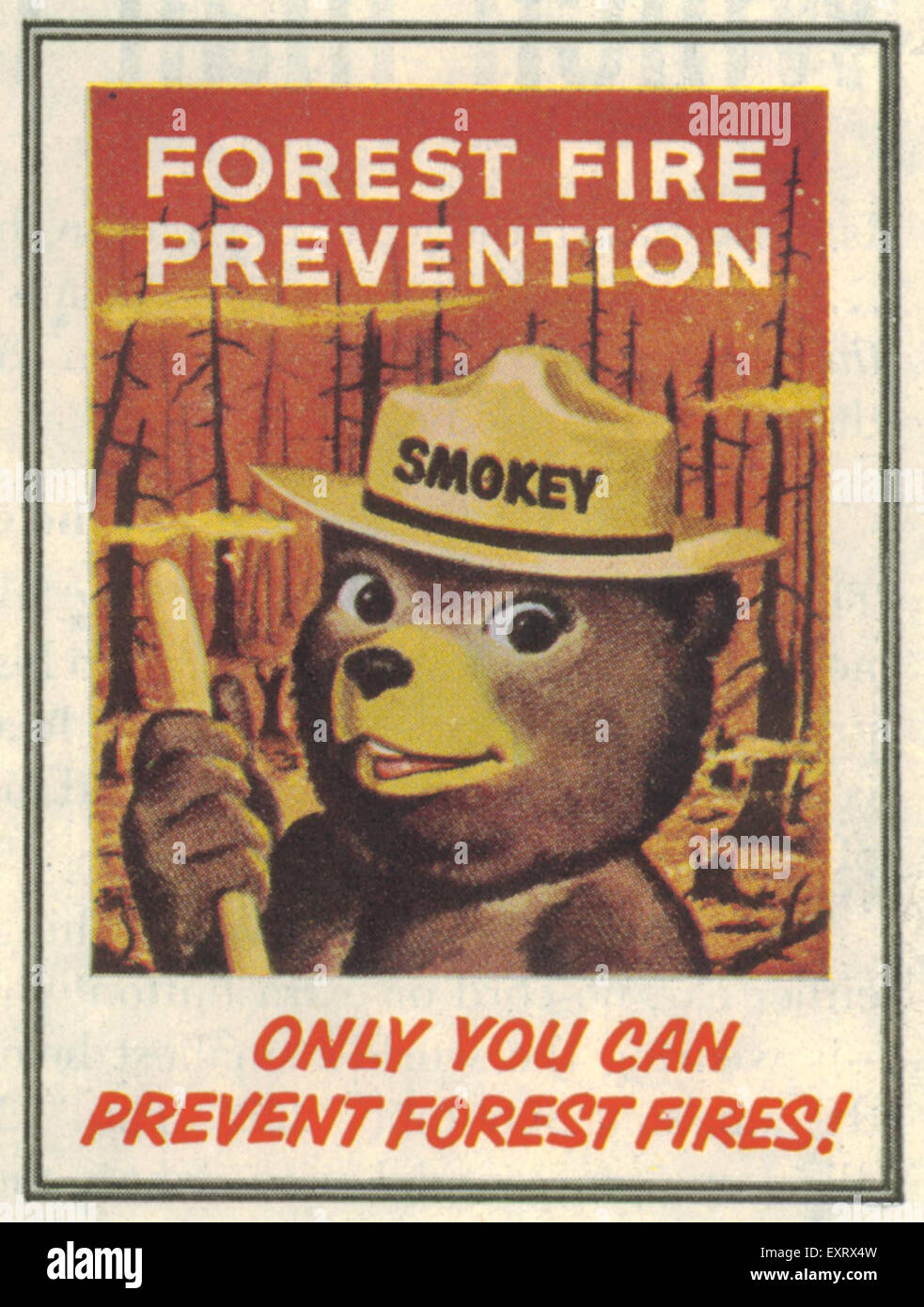 1950s USA Forest Fires Prevention Magazine Advert Stock Photo - Alamy