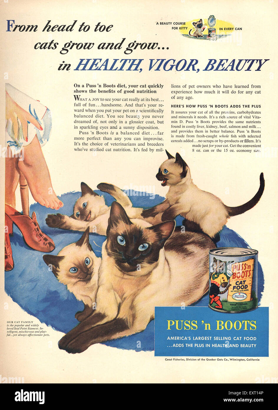 1950s USA PussNBoots Puss N Boots Magazine Advert Stock Photo - Alamy