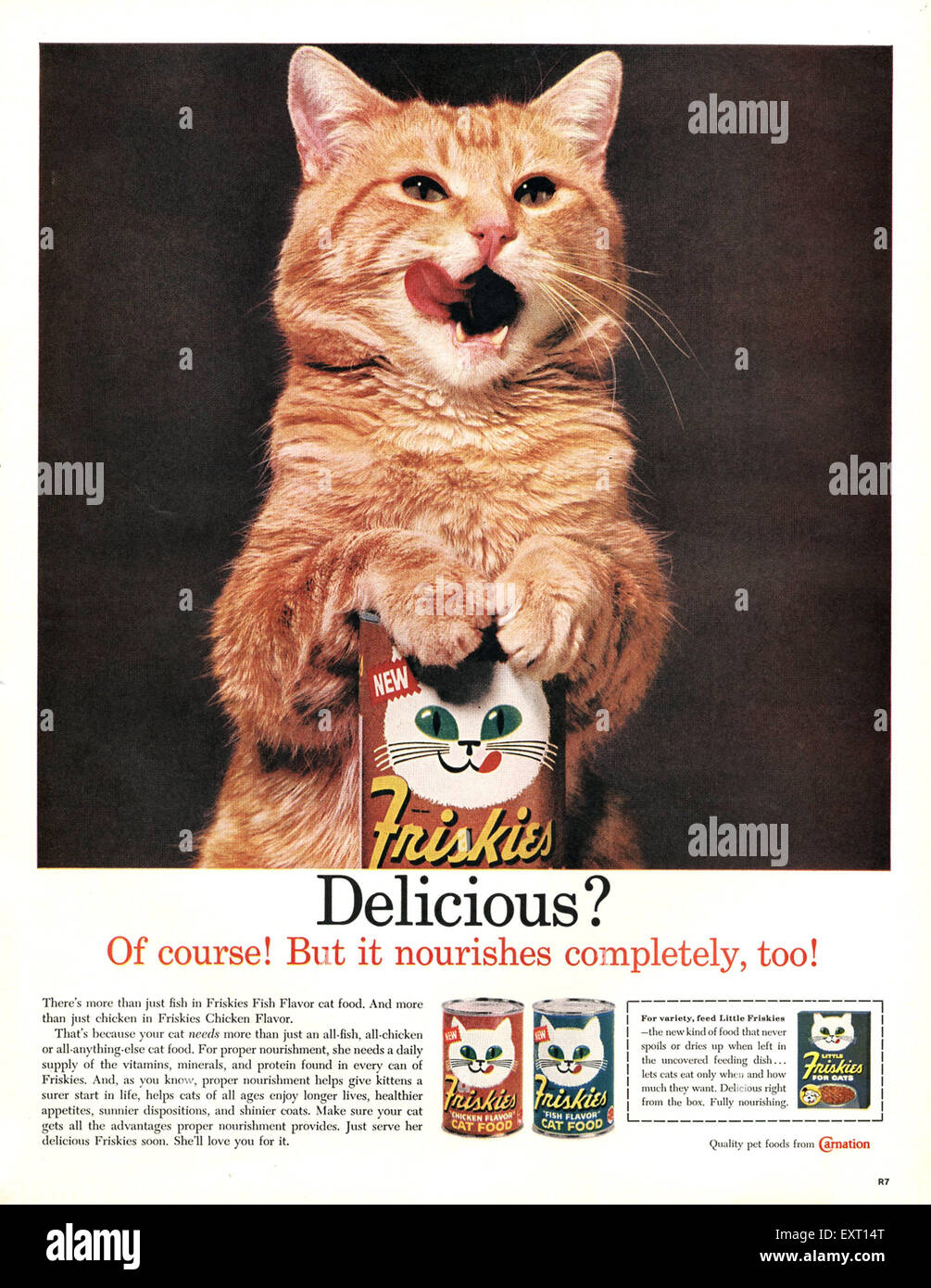 1950s USA Friskies Magazine Advert Stock Photo - Alamy