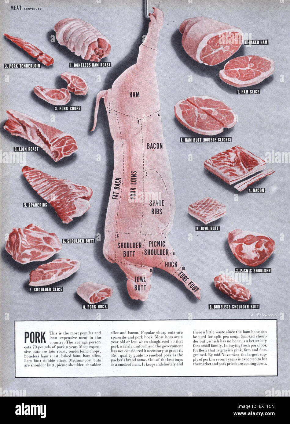 1950s USA Cuts of Meat Magazine Advert Stock Photo - Alamy