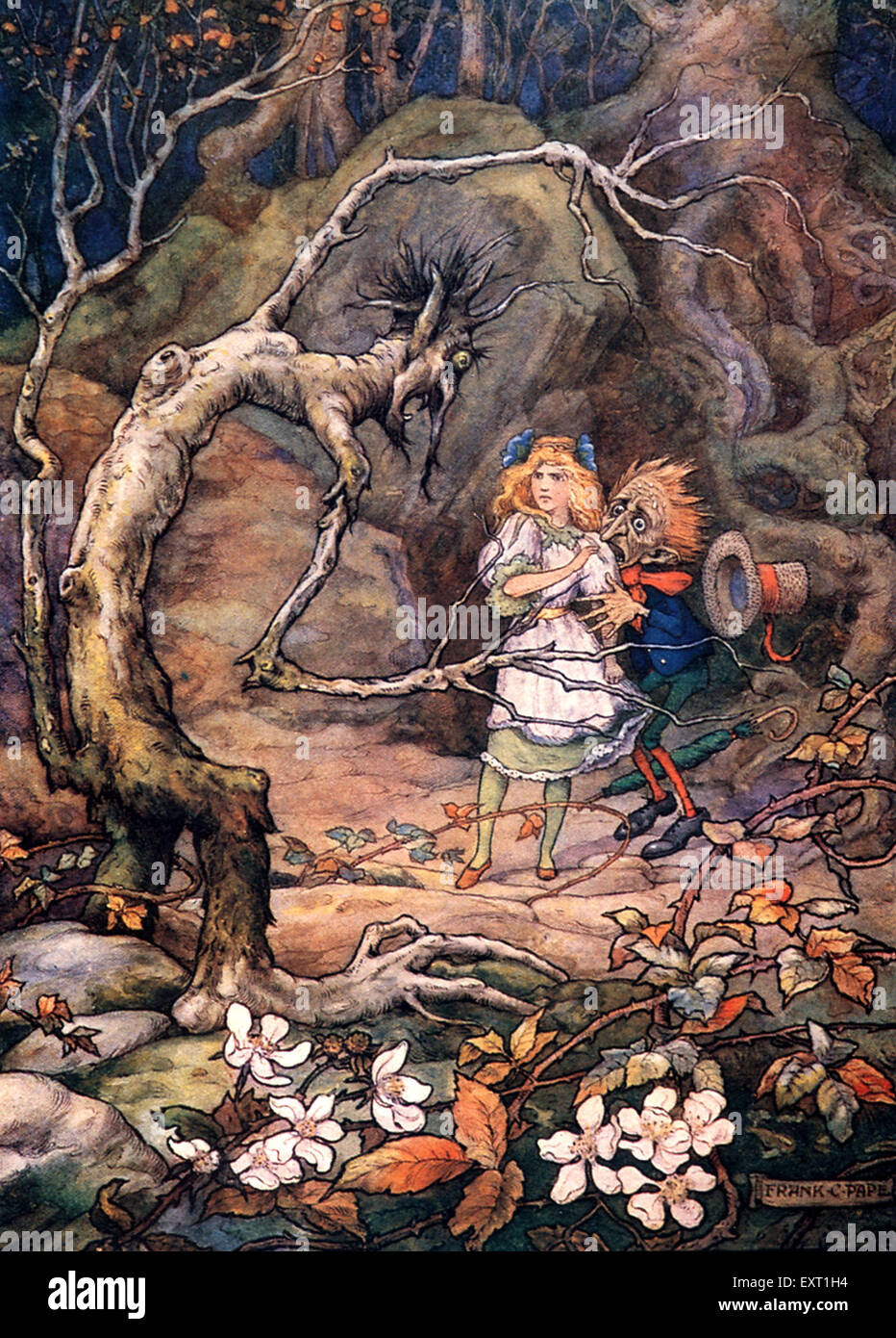 1930s USA Fantasy Forest Book Plate Stock Photo - Alamy