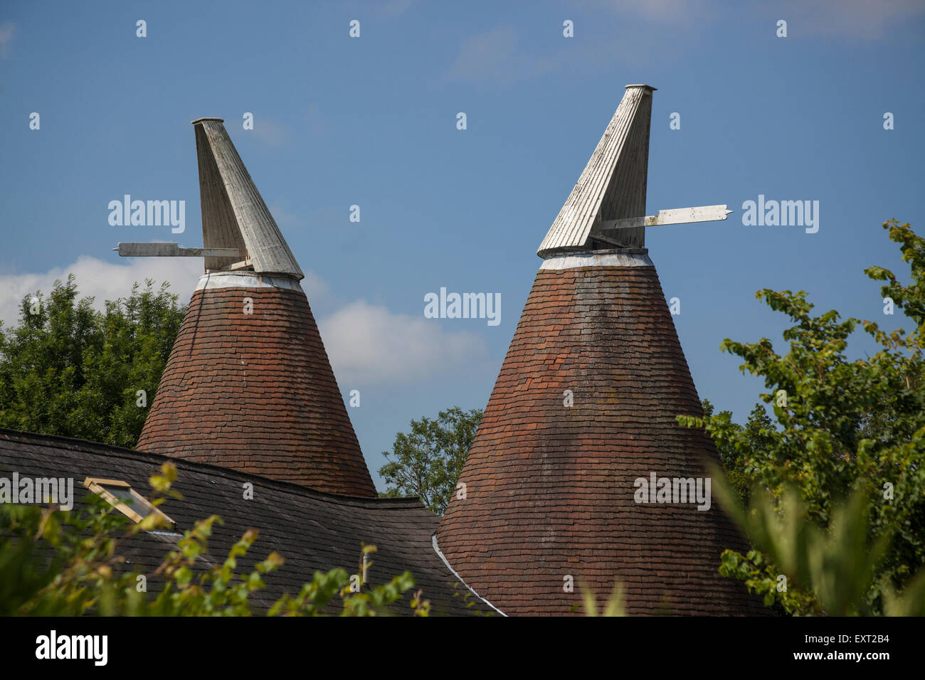 House of marc chagall hi-res stock photography and images - Alamy