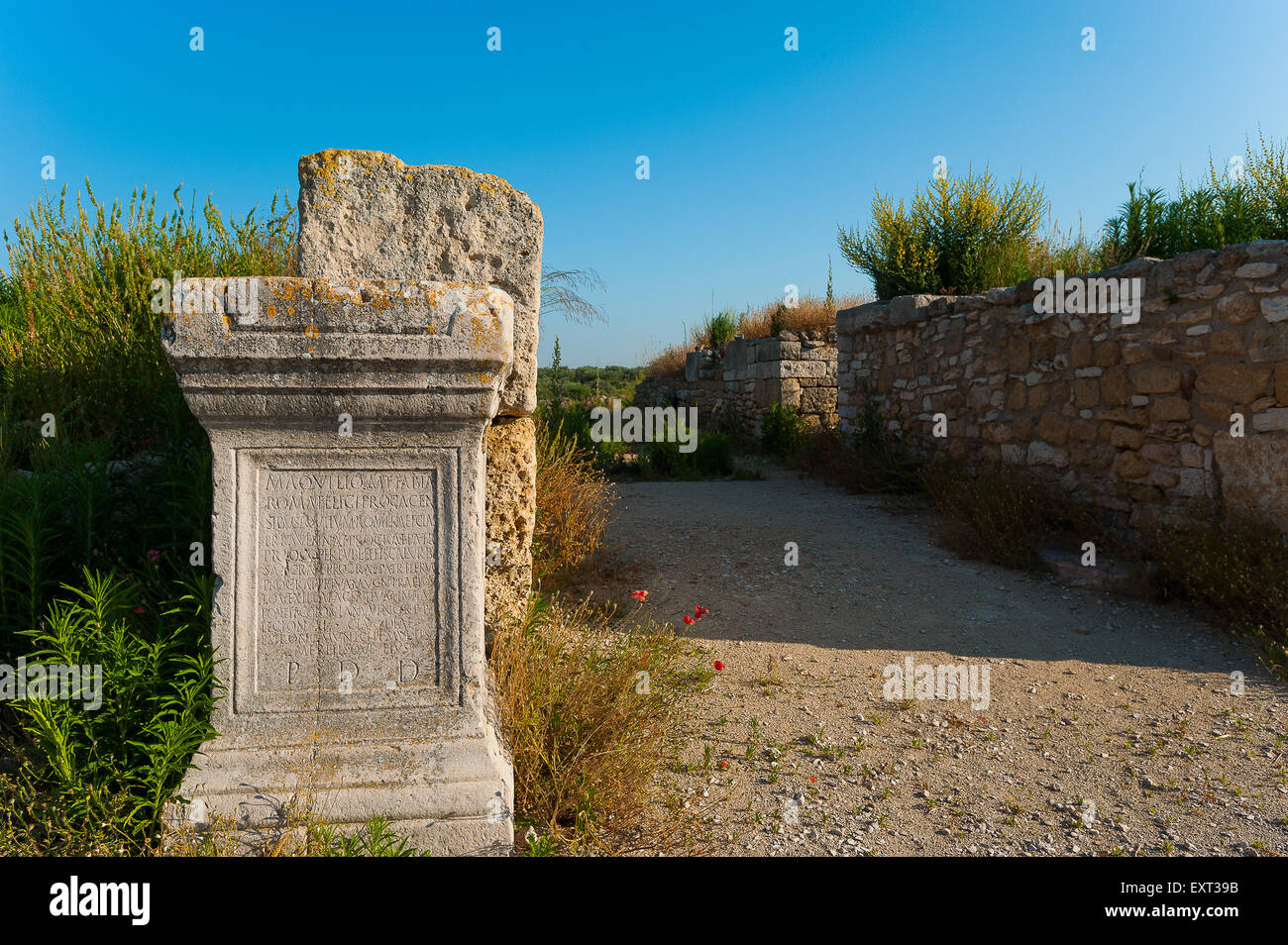 Apulia Archeologial remain of Canne della Battaglia -Roman base Stock ...