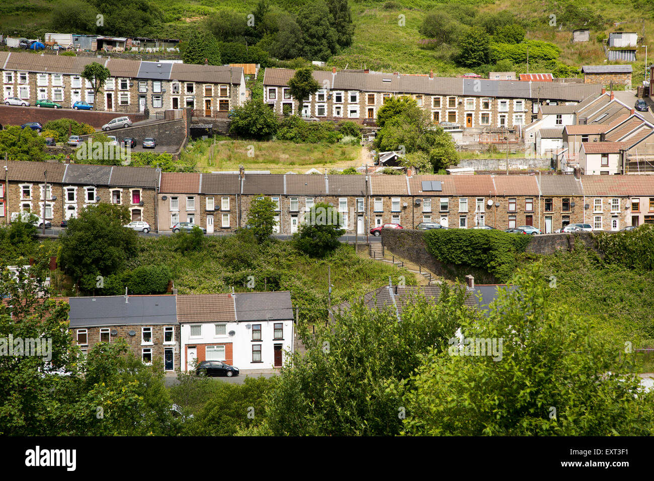 Linear Settlement Patterns
