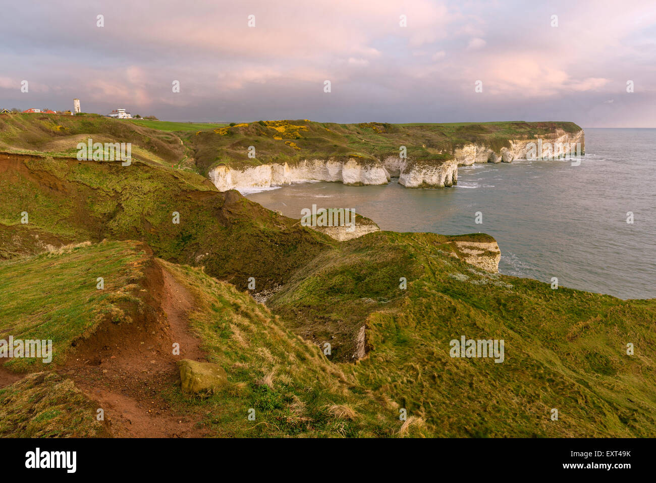 The rugged coastline with high chalk cliffs and flora as dawn breaks ...
