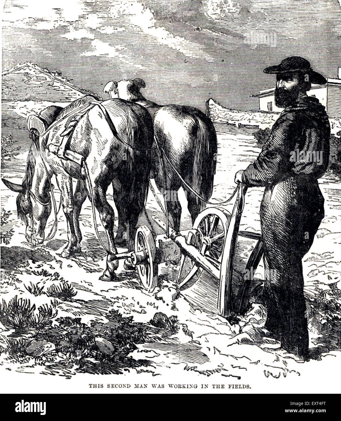 1890s agriculture hi-res stock photography and images - Alamy