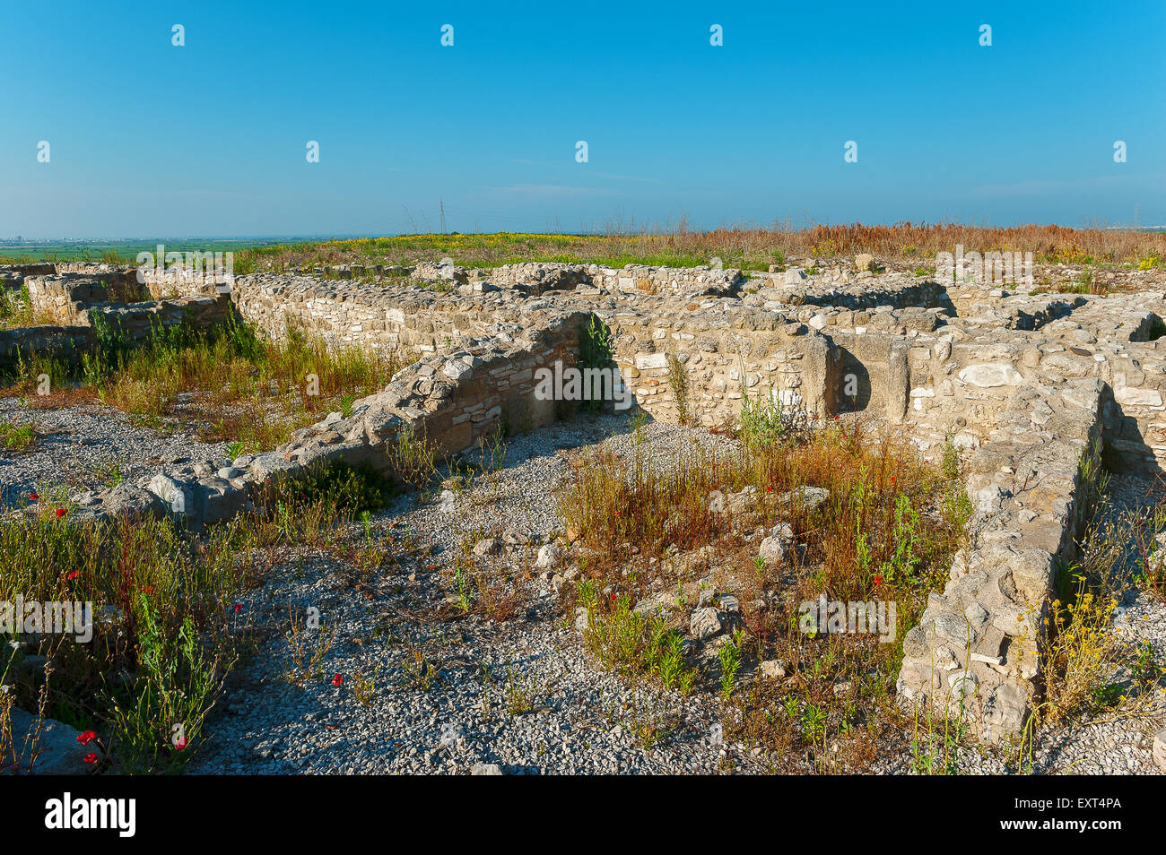 Apulia Archeologial remain of Canne della Battaglia- The town Stock ...