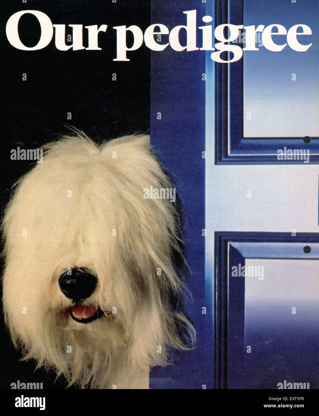 1970s UK Dulux Magazine Advert Stock Photo - Alamy