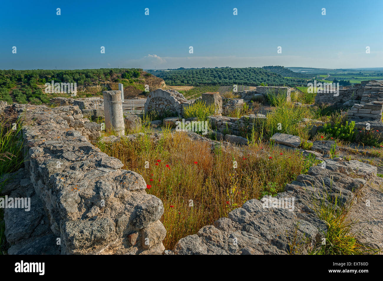 Apulia Archeologial remain of Canne della Battaglia -area of basilicas ...