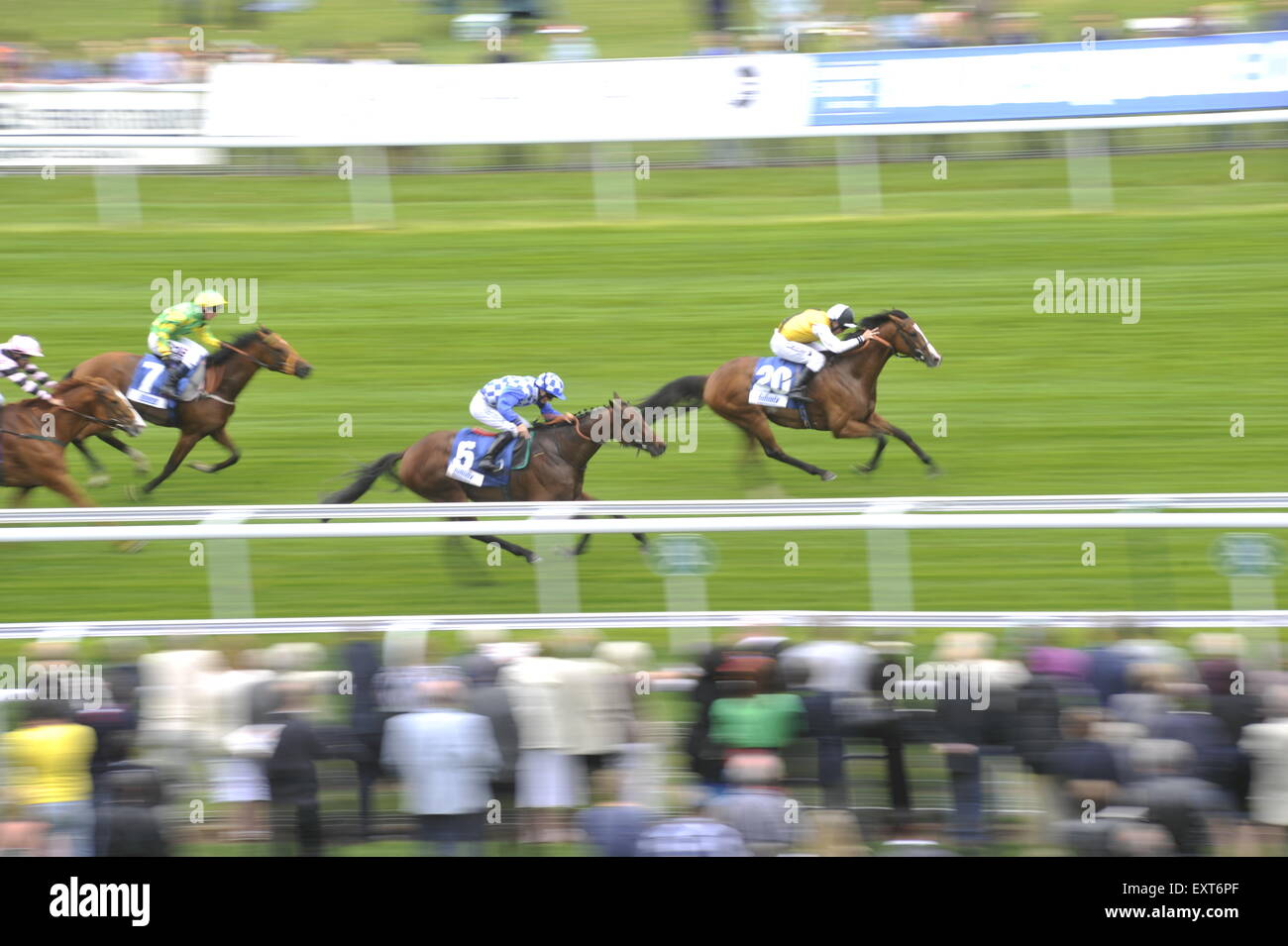 Galloping horses on a racecourse Stock Photo - Alamy