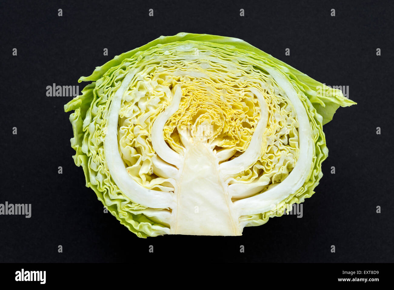 Cabbagehead hi-res stock photography and images - Alamy